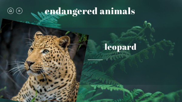 leopard Presentation | Genially