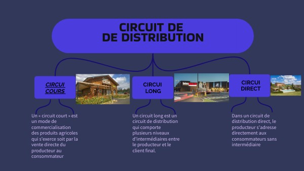 CIRCUI DE DISTRIBUTION