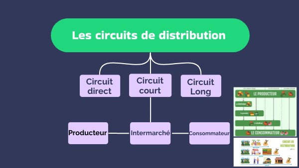 Carte mentale schéma vertical | Genially