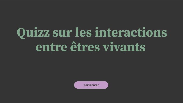 Quiz interactif basique