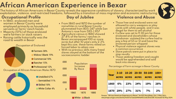 African American Infographic