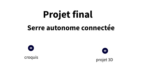 projet final