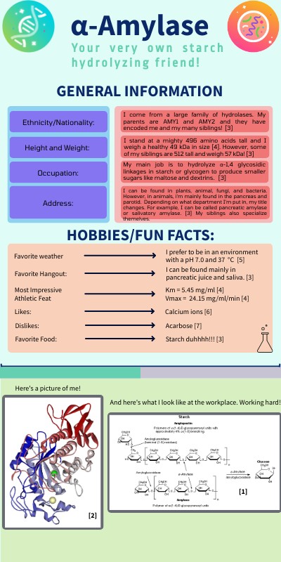 Amylase info | Genially