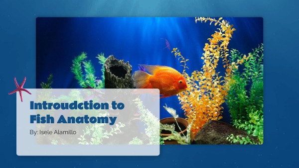 Intro to Fish Anatomy | Genially