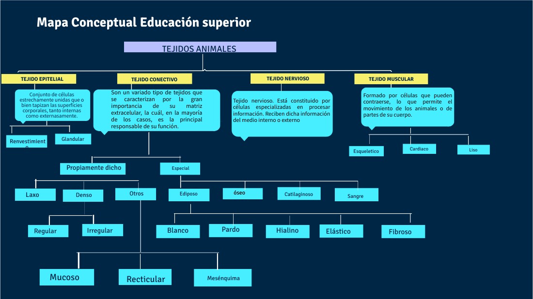 Mapa Conceptual Educación Superior | Genially