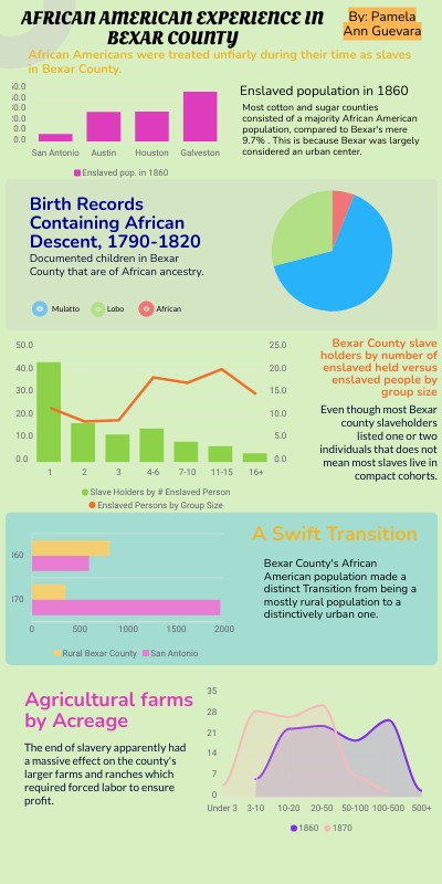Bexar County Infographic