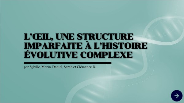 L’œil, une structure imparfaite à l’histoire évolutive complexe | Genially