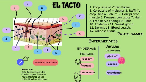 El tacto | Genially