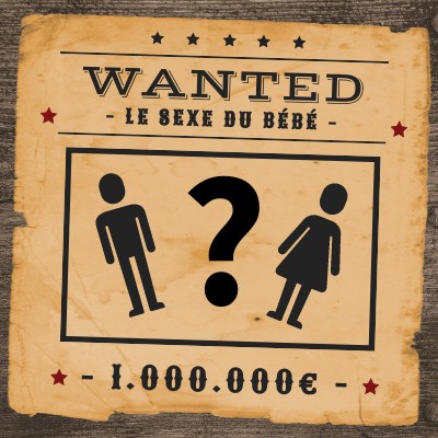 Carte interactive wanted