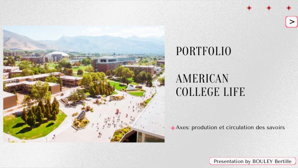 Portfolio AMC