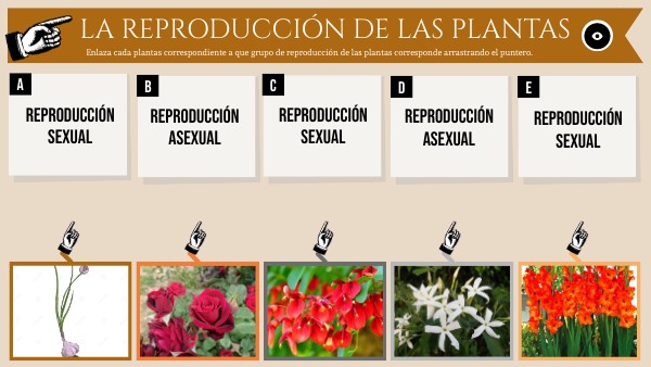 LA REPRODUCCIÓN DE LAS PLANTAS | Genially