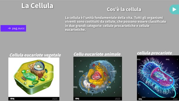 Le Cellule | Genially