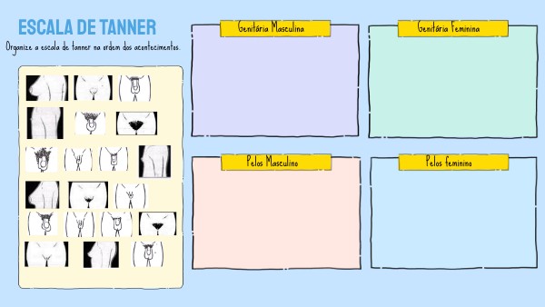 Organize a escala de Tanner | Genially