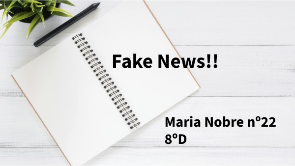 Fake news Maria Nobre nº22