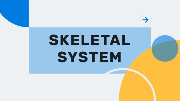 SEKELETAL SYSTEM | Genially