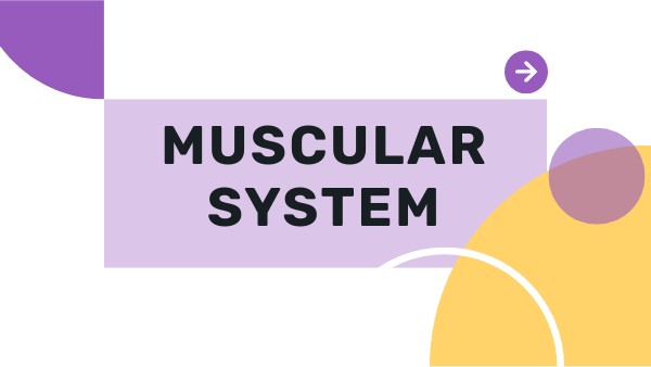 MUSCULAR SYSTEM