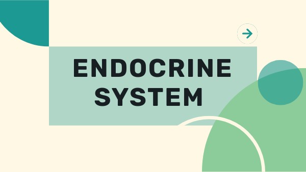 ENDOCRINE SYSTEM | Genially