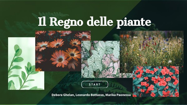 il regno delle piante | Genially