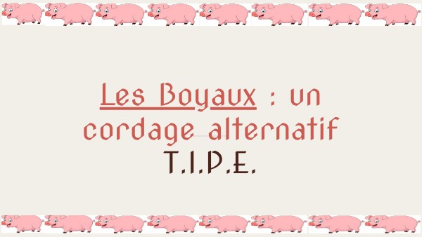 TIPE Boyaux