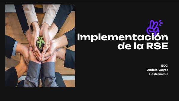 Propuestas de la RSE