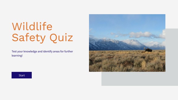 Wildlife Safety Quiz | Genially