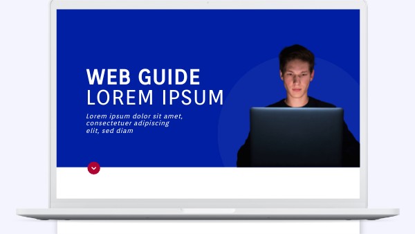 WEB GUIDE