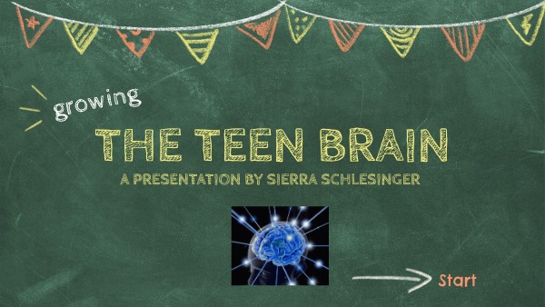The Teen Brain