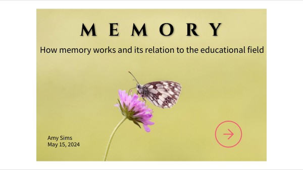 Memory and Education | Genially