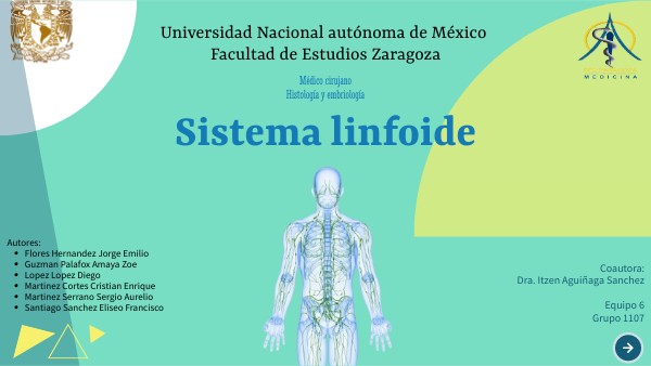 Sistema linfoide | Genially