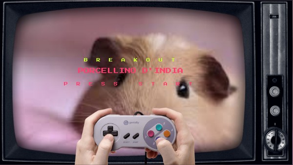 Breakout Videogioco | Genially