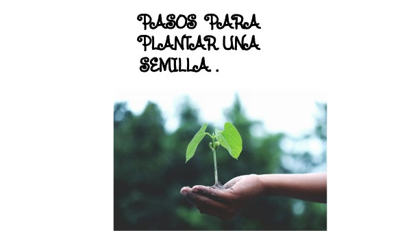 Plantar una semilla | Genially