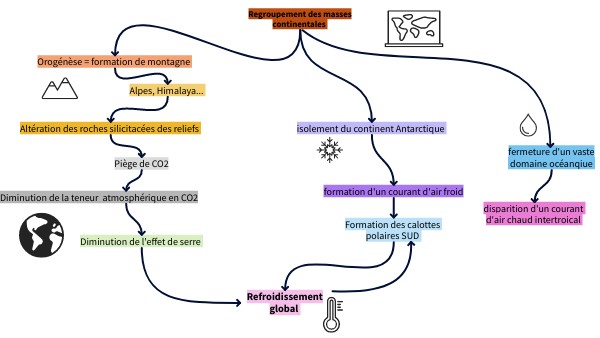 Schéma explicatif SVT partie B