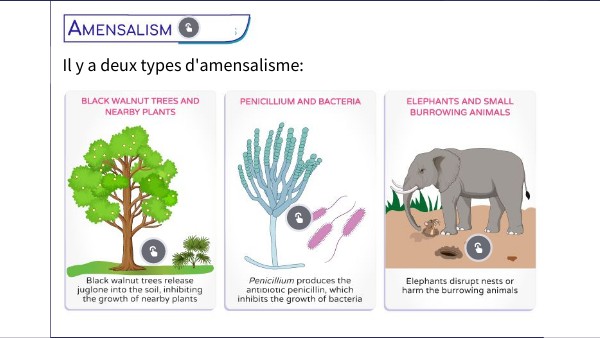 Image interactive amensalism