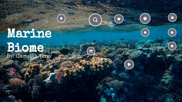 Marine biome | Genially