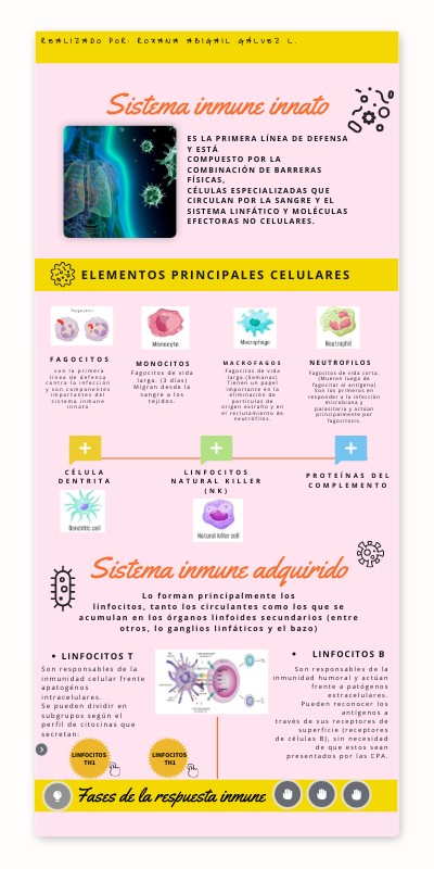 Infografía Sistema inmune innato y sis. adquirido | Genially