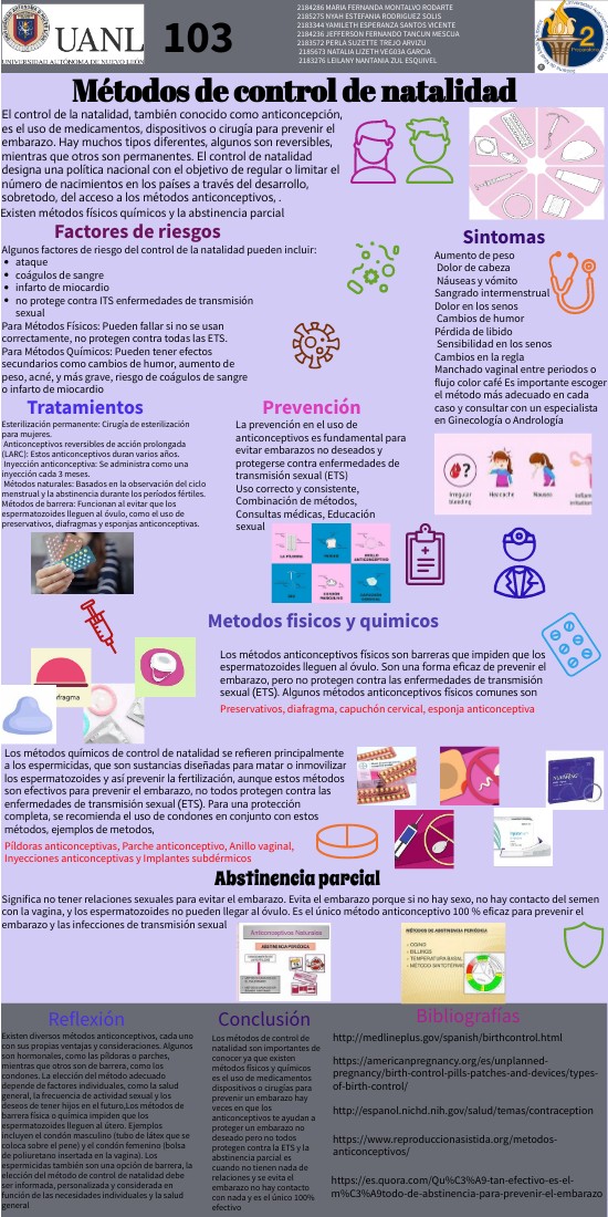 Human Rights Infographic | Genially