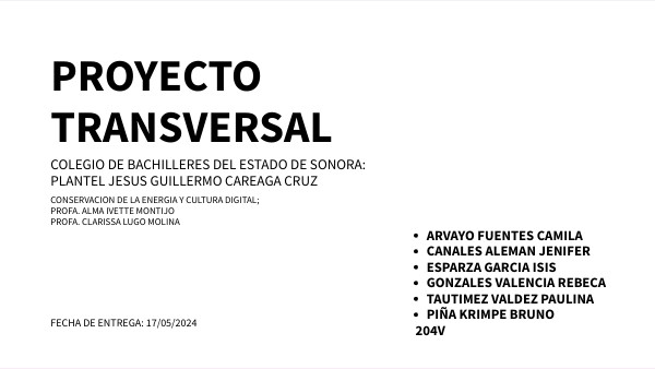 proyecto transversal 204v