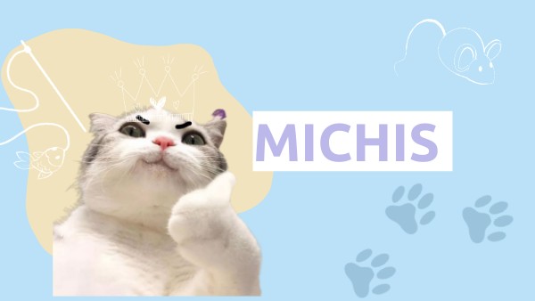 PRESENTACIÓN MICHIS