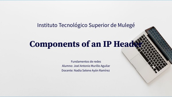 Components of an IP Header | Genially