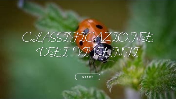 Presentazione classificazione pisani alice | Genially