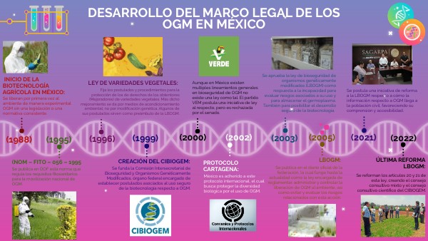 Desarrollo del marco legal de los OGM en México