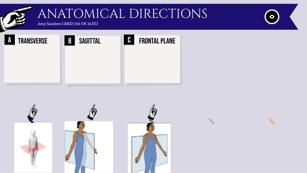 Anatomical Directions and Terms