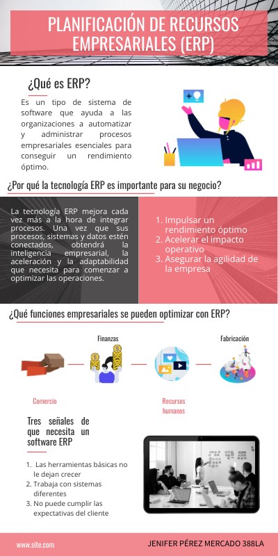 Planificación de recursos empresariales (ERP)