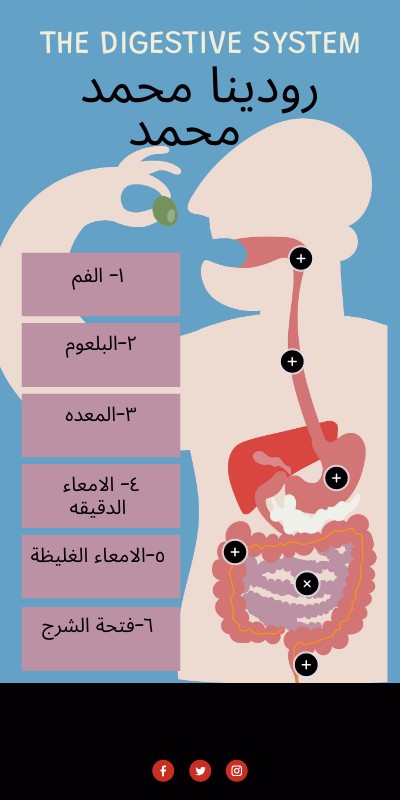 DIGESTIVE VERTICAL INFO